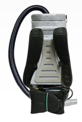 41It1LbolHL_grande.jpg?v=1644351339